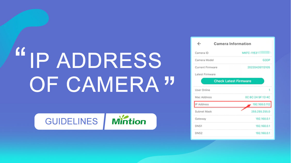 How to figure out the IP address of Beagle Camera? – Mintion